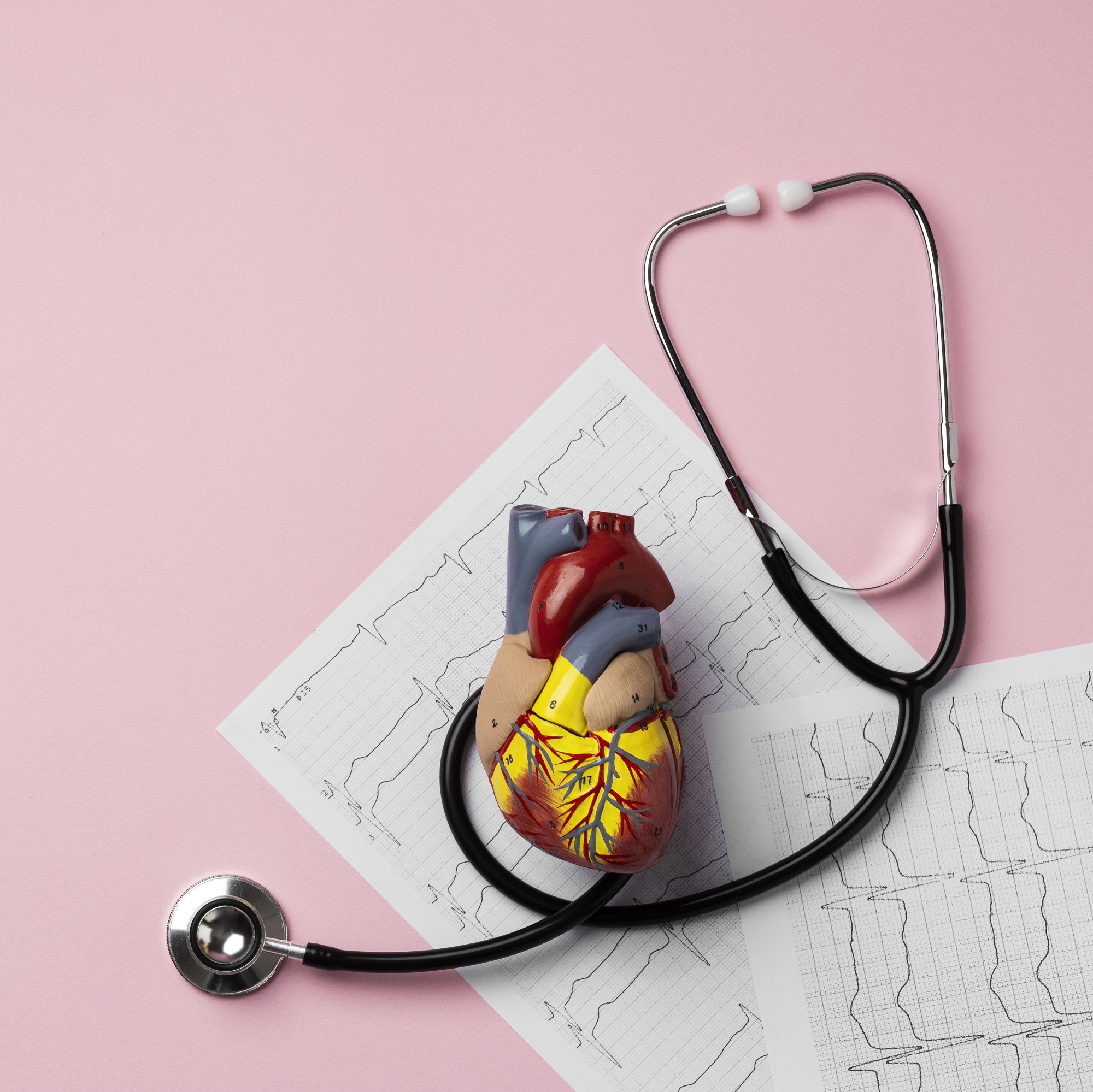view-anatomic-stethoscope • B.Well Swiss